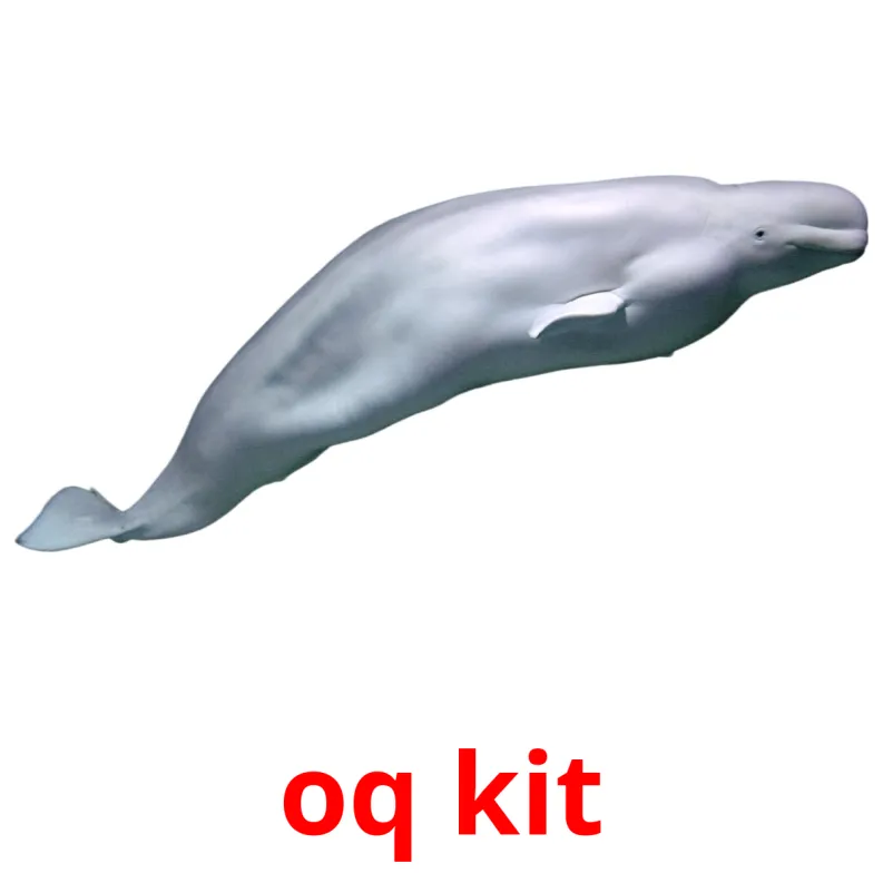 14 Tarjetas de Aprendizaje de Animales del Ártico GRATIS en PDF ...