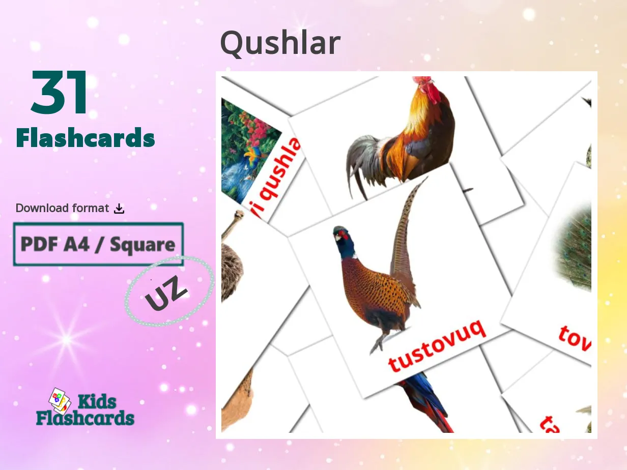 31 FREE Uzbek Birds Flashcards | PDF