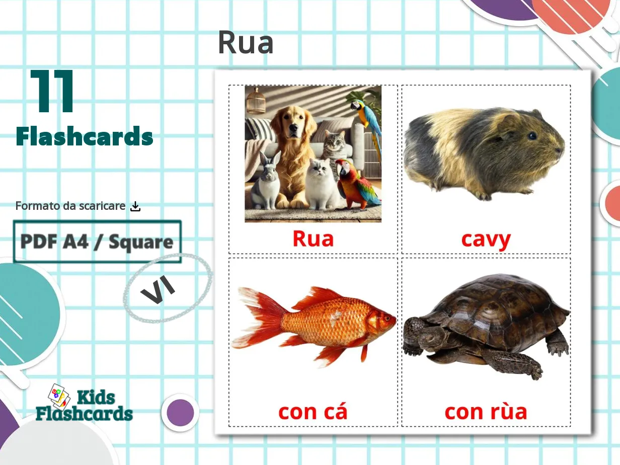 11 Flashcard GRATUITE sui Animali Domestici in 4 Formati PDF | Immagini ...
