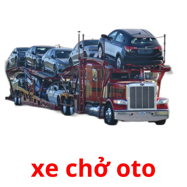27 FREE Land transport Flashcards | PDF | Vietnamese Words