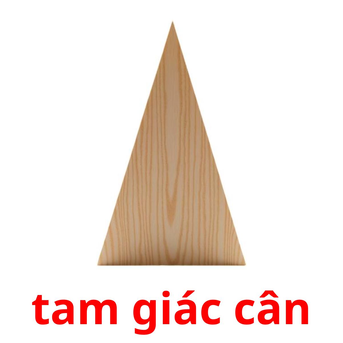 35 FREE 2D Shapes Flashcards | PDF | Vietnamese Words