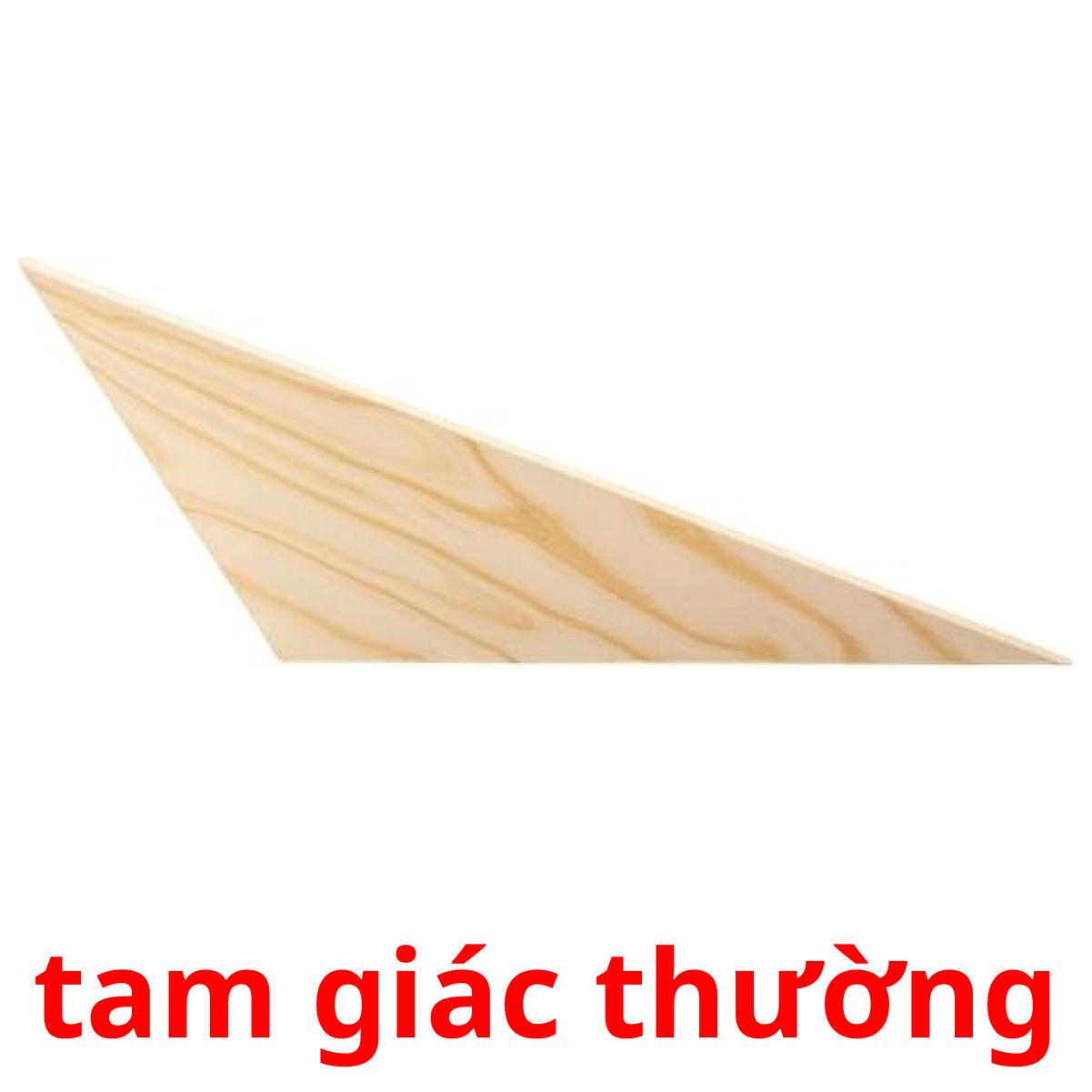 35 FREE 2D Shapes Flashcards | PDF | Vietnamese Words