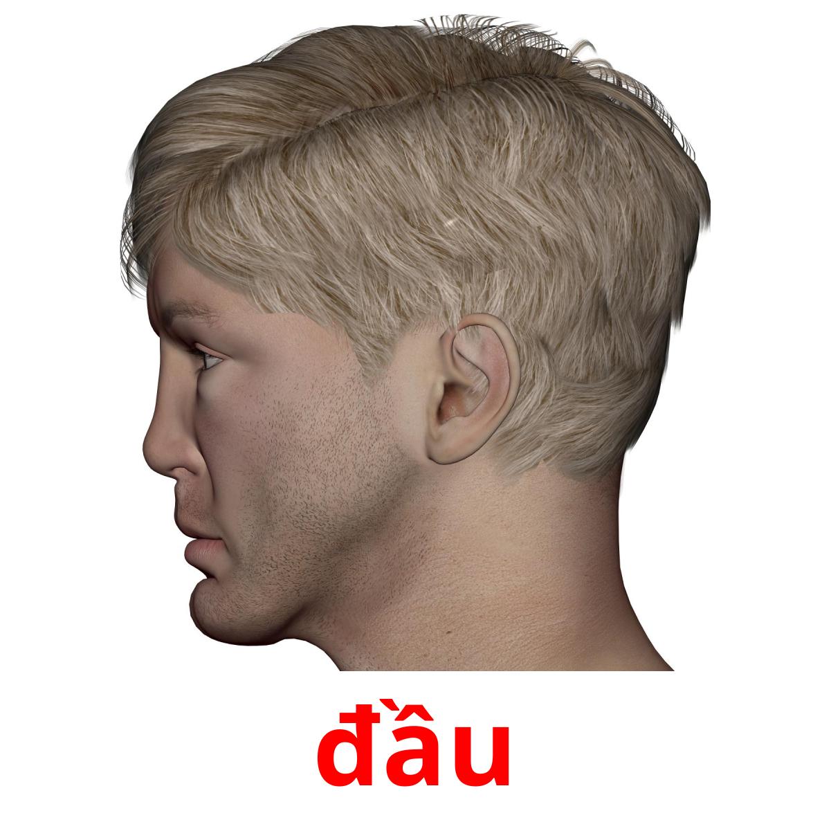 26 Printable Body Parts Flashcards in Vietnamese (Free PDF)