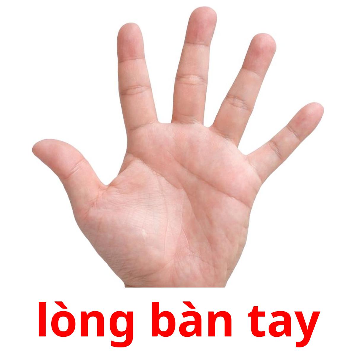 26 Printable Body Parts Flashcards in Vietnamese (Free PDF)