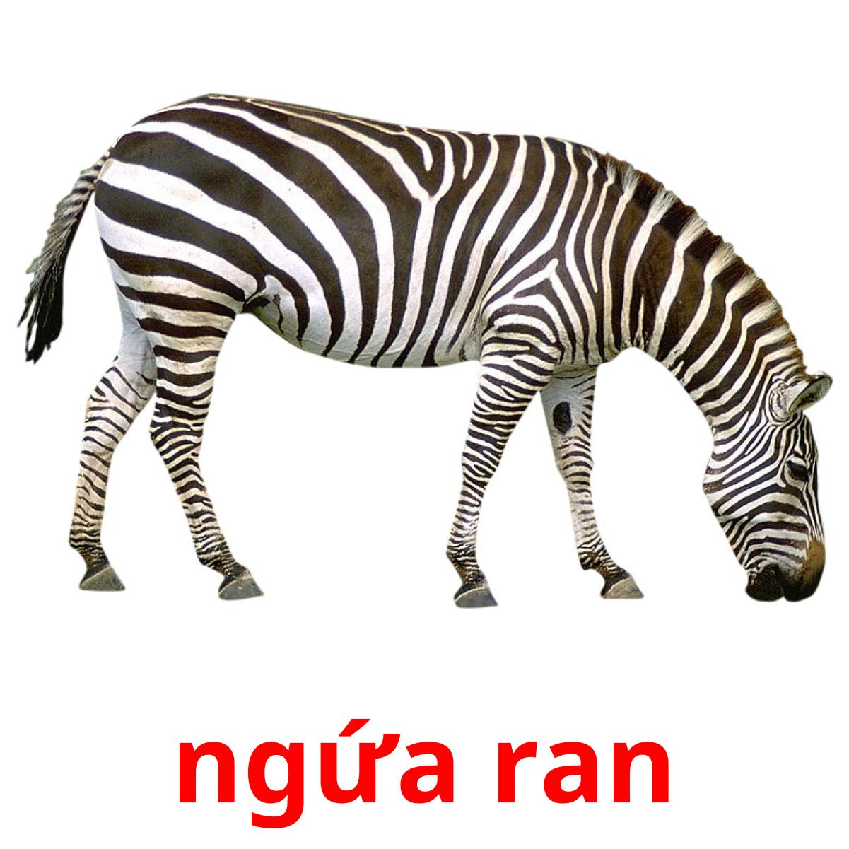 22 Printable Jungle animals Flashcards in Vietnamese (Free PDF)