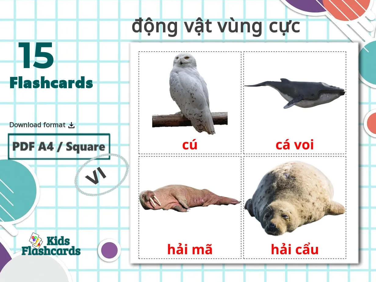 15 Printable Arctic animals Flashcards in Vietnamese (Free PDF)