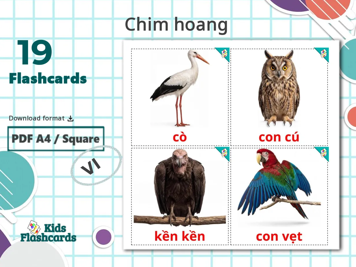 19 Printable Wild birds Flashcards in Vietnamese (Free PDF)