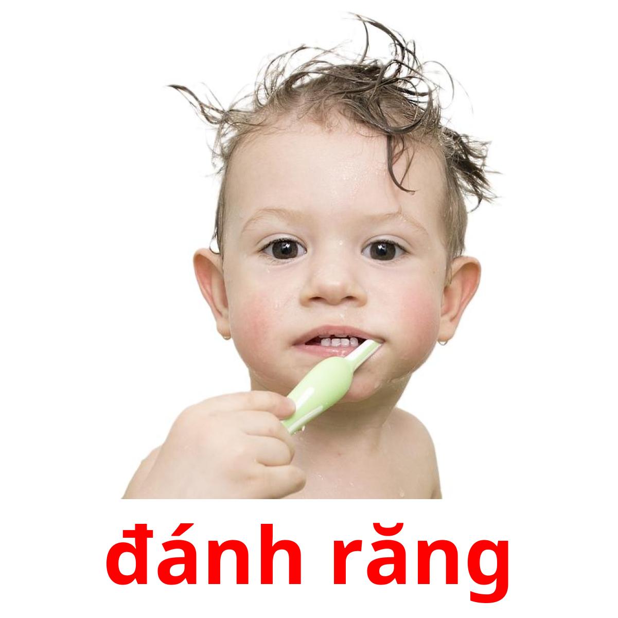 33 FREE Routine verbs Flashcards | PDF | Vietnamese Words