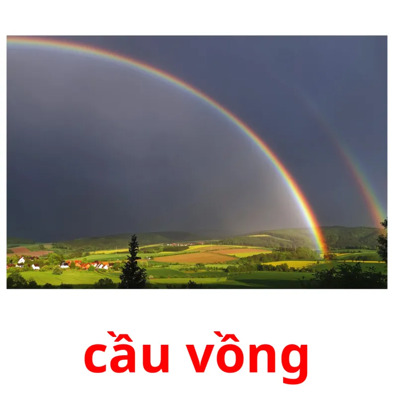 31 FREE Weather Flashcards | PDF | Vietnamese Words