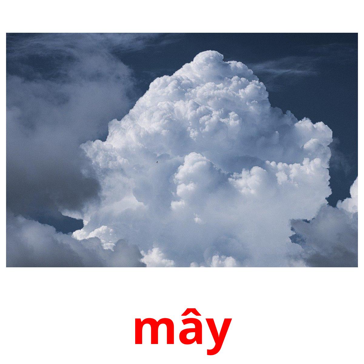 31 FREE Weather Flashcards | PDF | Vietnamese Words