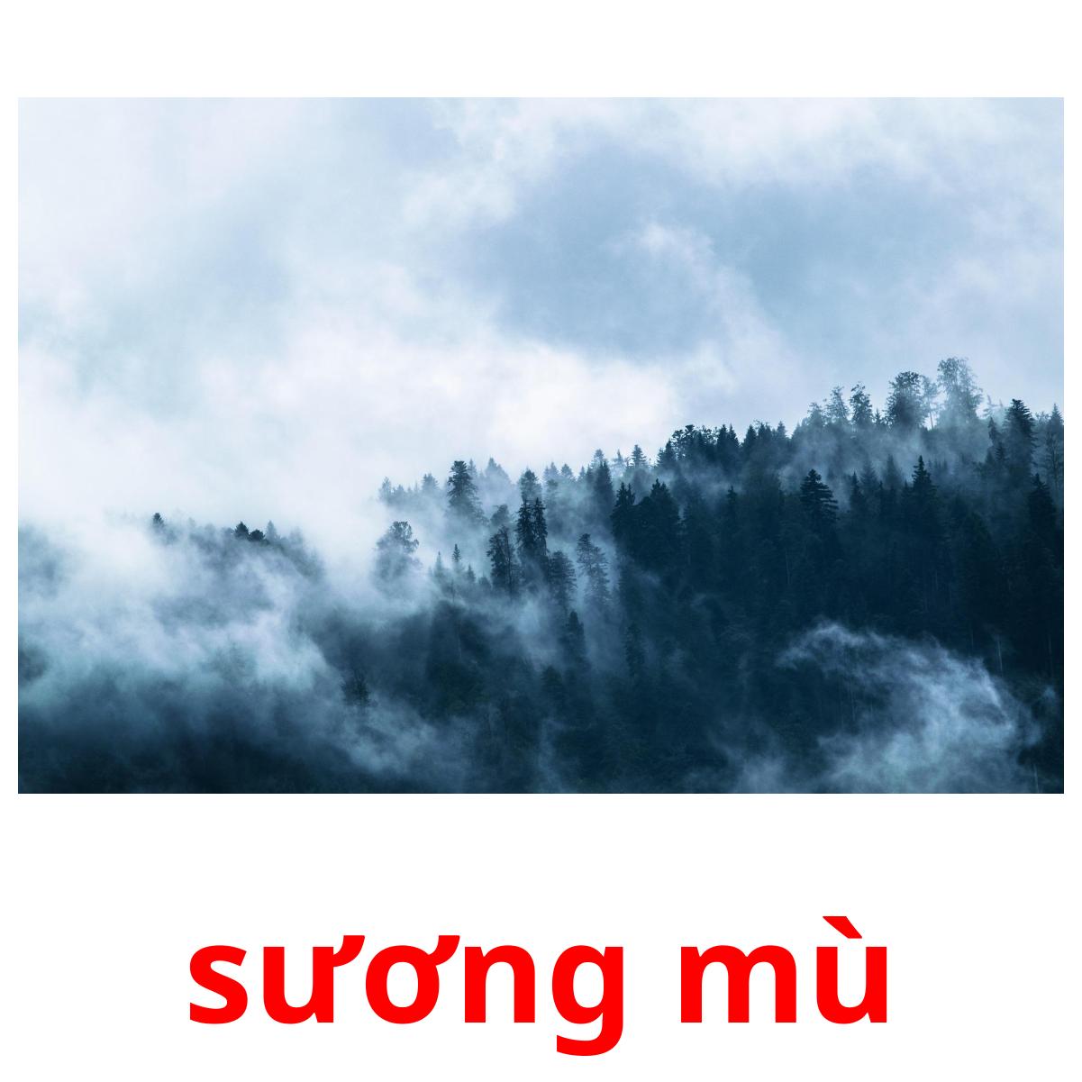 32 Printable Weather Flashcards in Vietnamese (Free PDF)