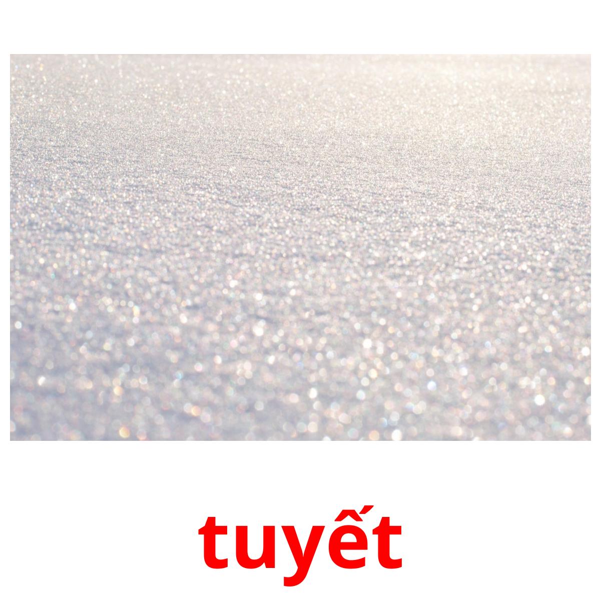 32 Printable Weather Flashcards in Vietnamese (Free PDF)