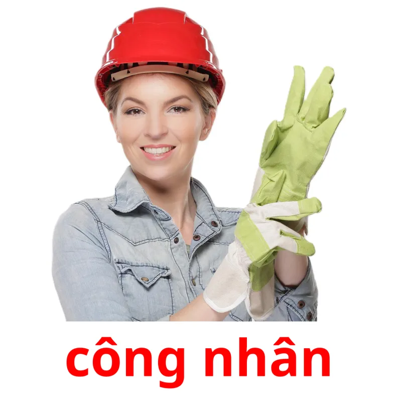 51 FREE Jobs and Occupations Flashcards in 4 PDF formats | Vietnamese Pictures