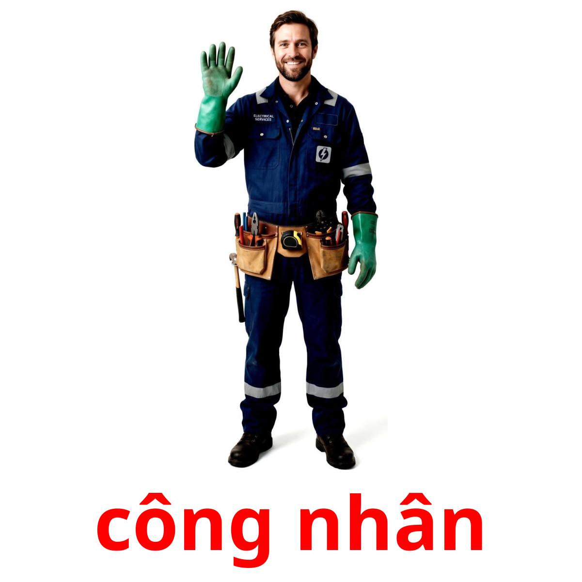 48 FREE Jobs and Occupations Flashcards | PDF | Vietnamese Words