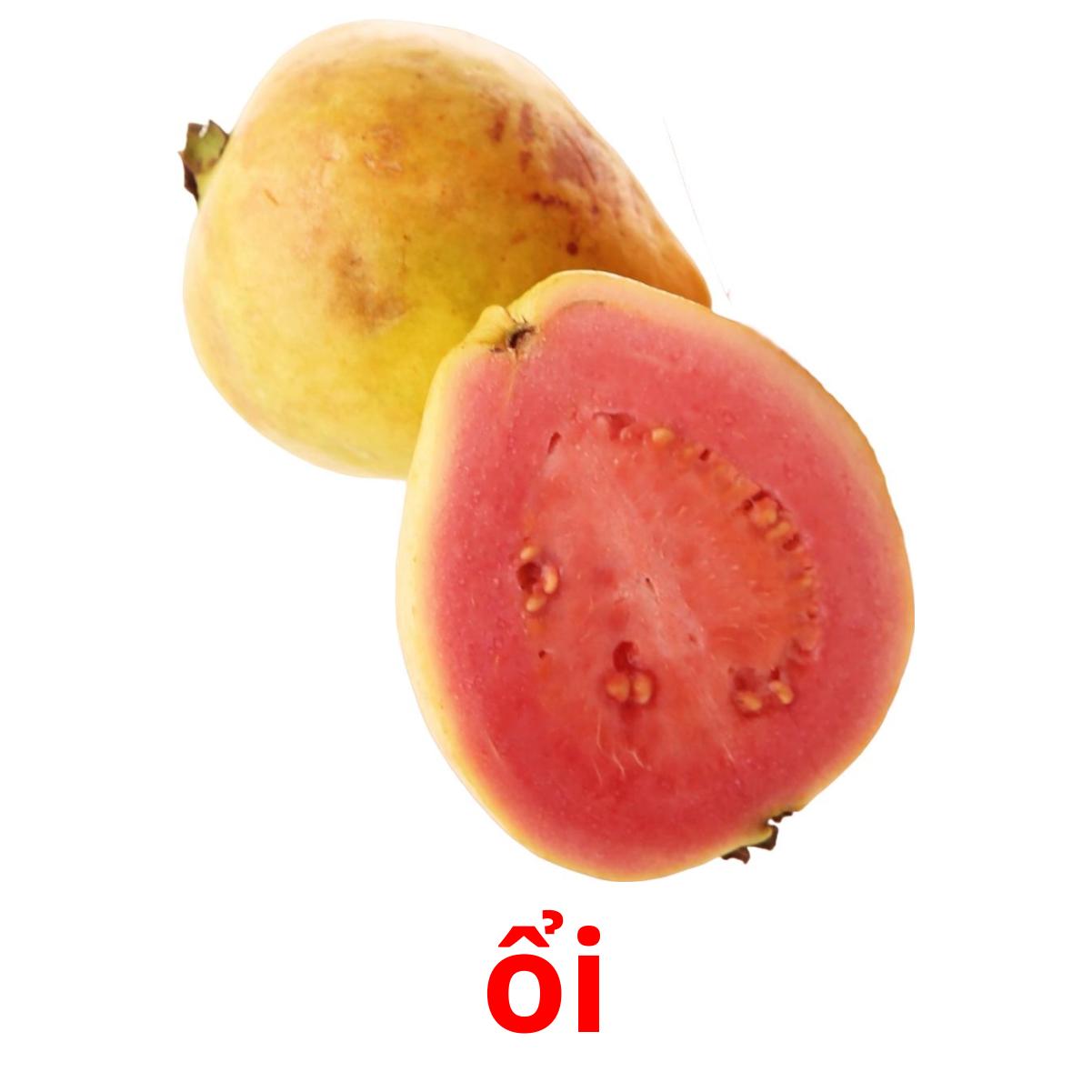 20 FREE Fruits Flashcards | PDF | Vietnamese Words