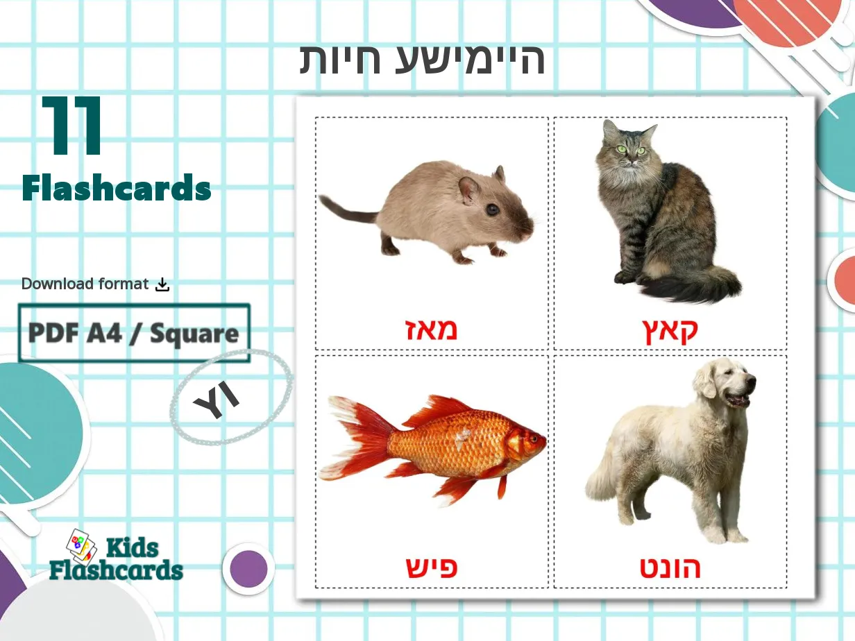 11 Printable Domestic animals Flashcards in Yiddish (Free PDF)