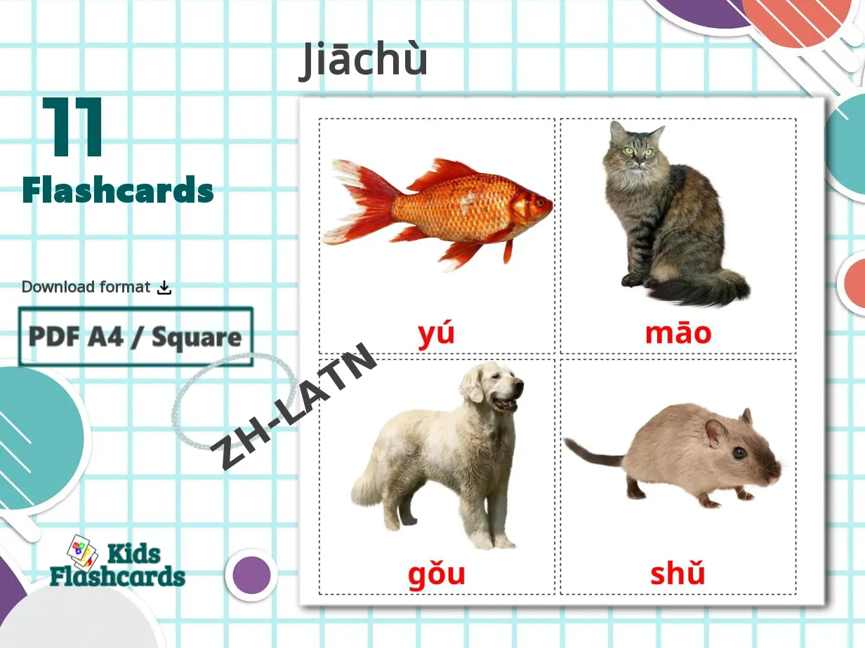 11 Printable Domestic animals Flashcards in Pinyin (Free PDF)