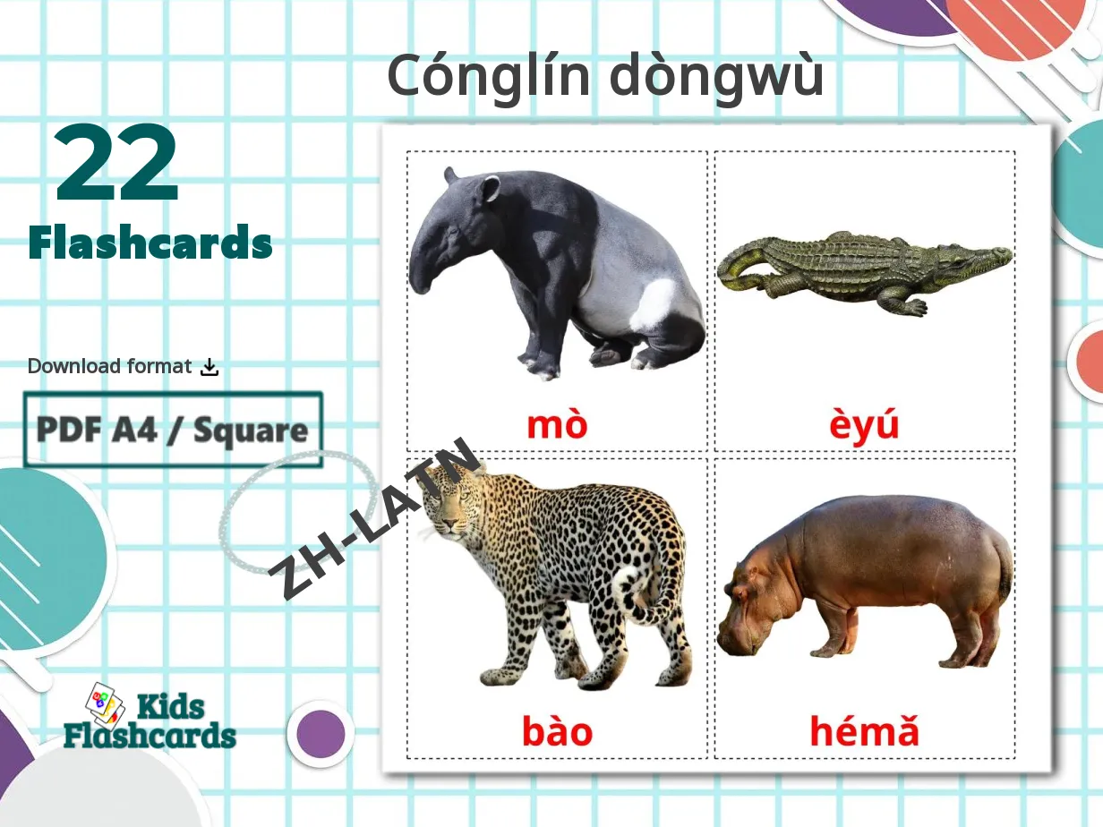22 Printable Jungle animals Flashcards in Pinyin (Free PDF)