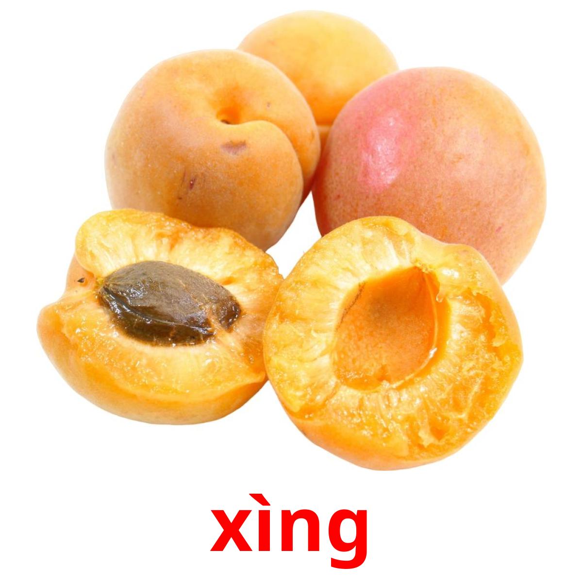 20 FREE Fruits Flashcards | PDF | Pinyin Words