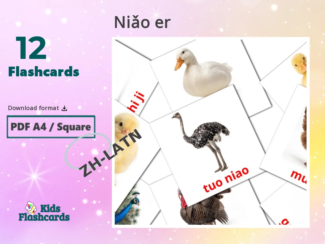12 FREE Pinyin Birds Flashcards | PDF