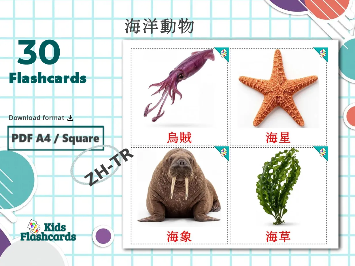 30 Printable Sea animals Flashcards in Chinese(Traditional) (Free PDF)