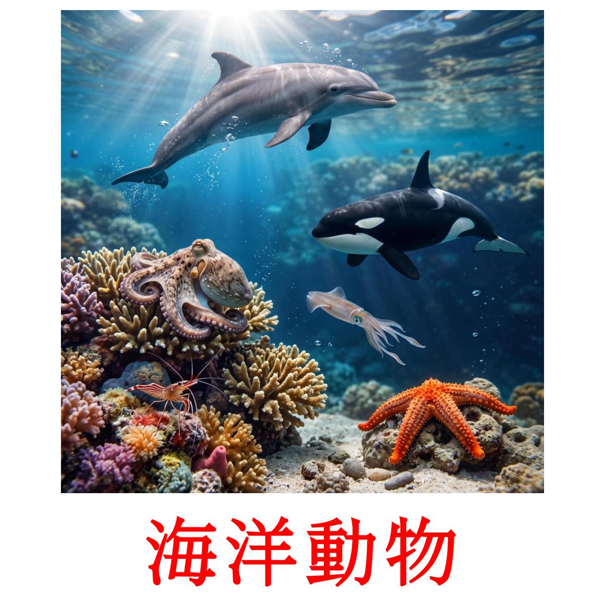 30 Printable Sea animals Flashcards in Chinese(Traditional) (Free PDF)