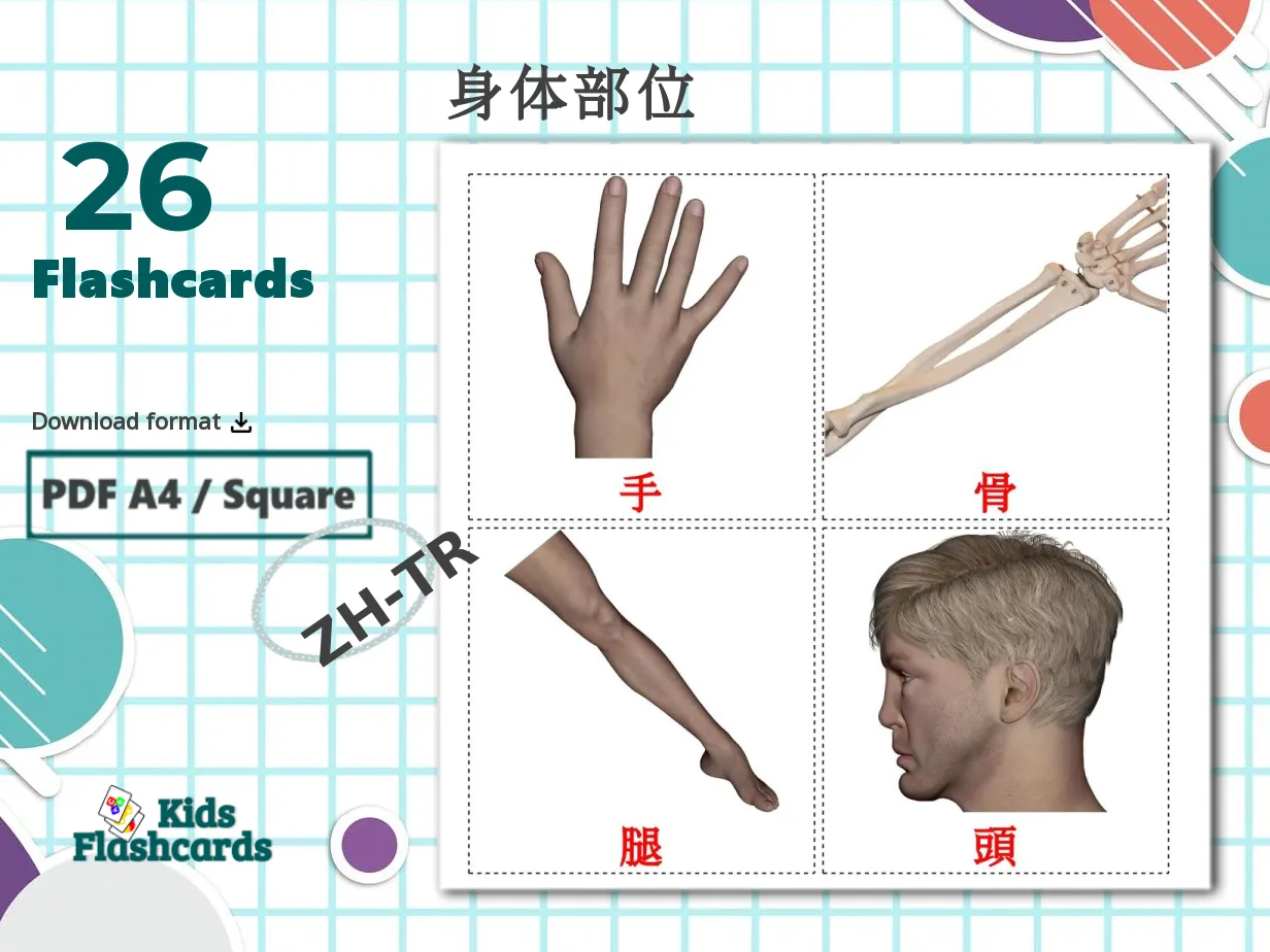 26 Printable Body Parts Flashcards in Chinese(Traditional) (Free PDF)