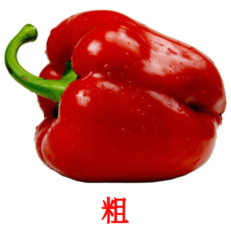 72 FREE Opposites Flashcards | PDF | Chinese(Traditional) Words