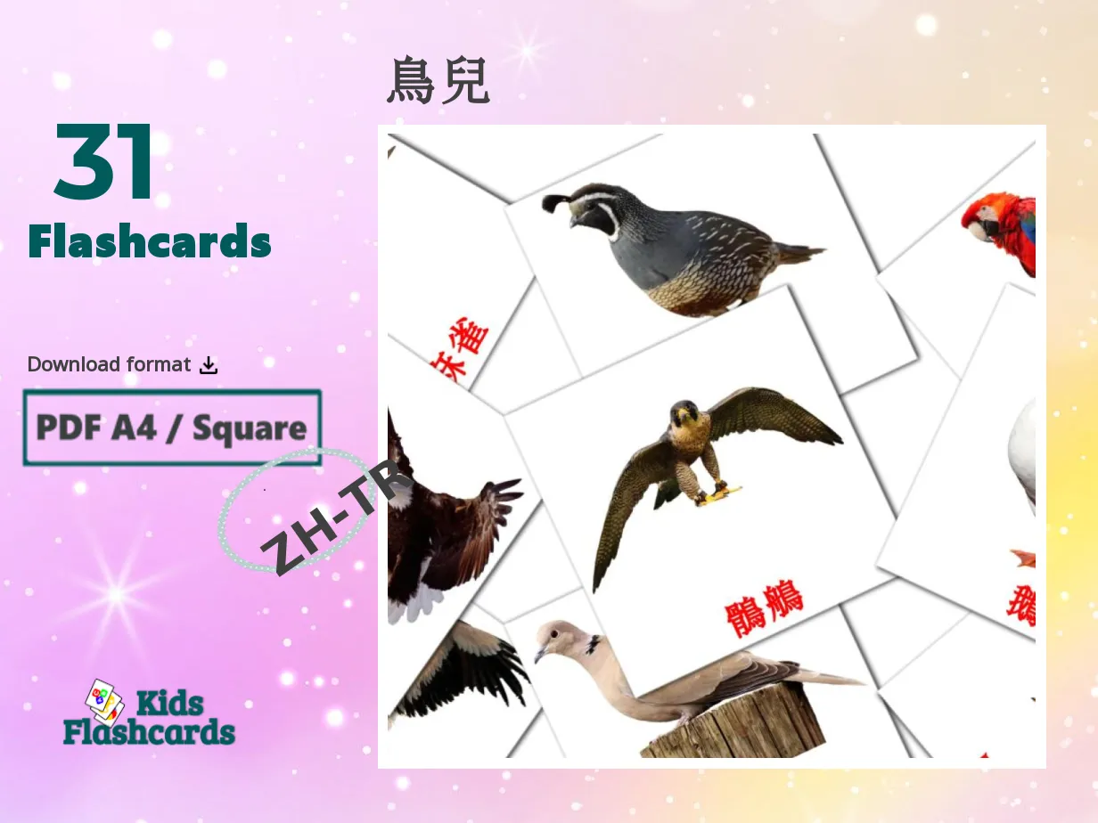 31 FREE Chinese(Traditional) Birds Flashcards | PDF