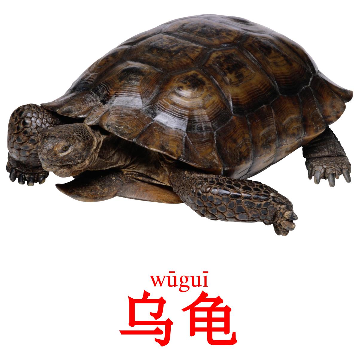 11 Printable Domestic animals Flashcards in Chinese(Simplified) (Free PDF)