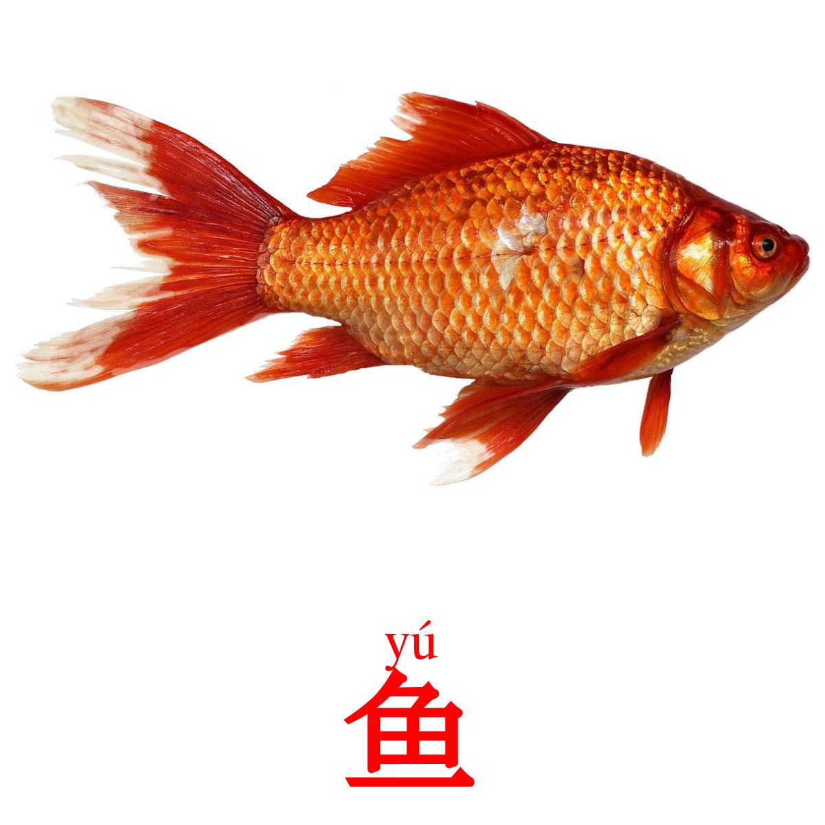 11 Printable Domestic animals Flashcards in Chinese(Simplified) (Free PDF)