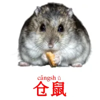 11 Printable Domestic animals Flashcards in Chinese(Simplified) (Free PDF)