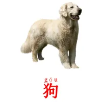 11 FREE Domestic animals Flashcards | PDF | Chinese(Simplified) Words