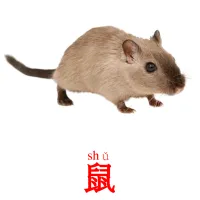 10 FREE Domestic animals Flashcards | PDF | Chinese(Simplified) Words