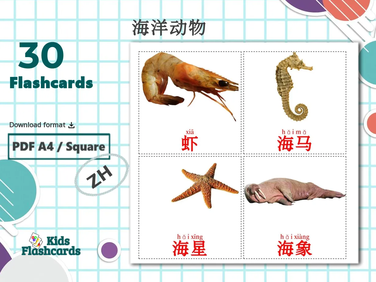 30 Printable Sea animals Flashcards in Chinese(Simplified) (Free PDF)