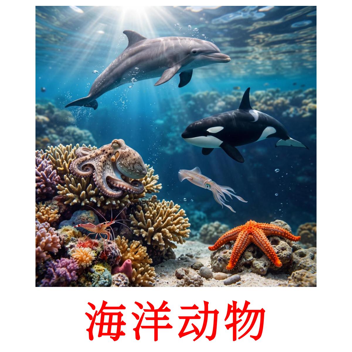 30 Printable Sea animals Flashcards in Chinese(Simplified) (Free PDF)