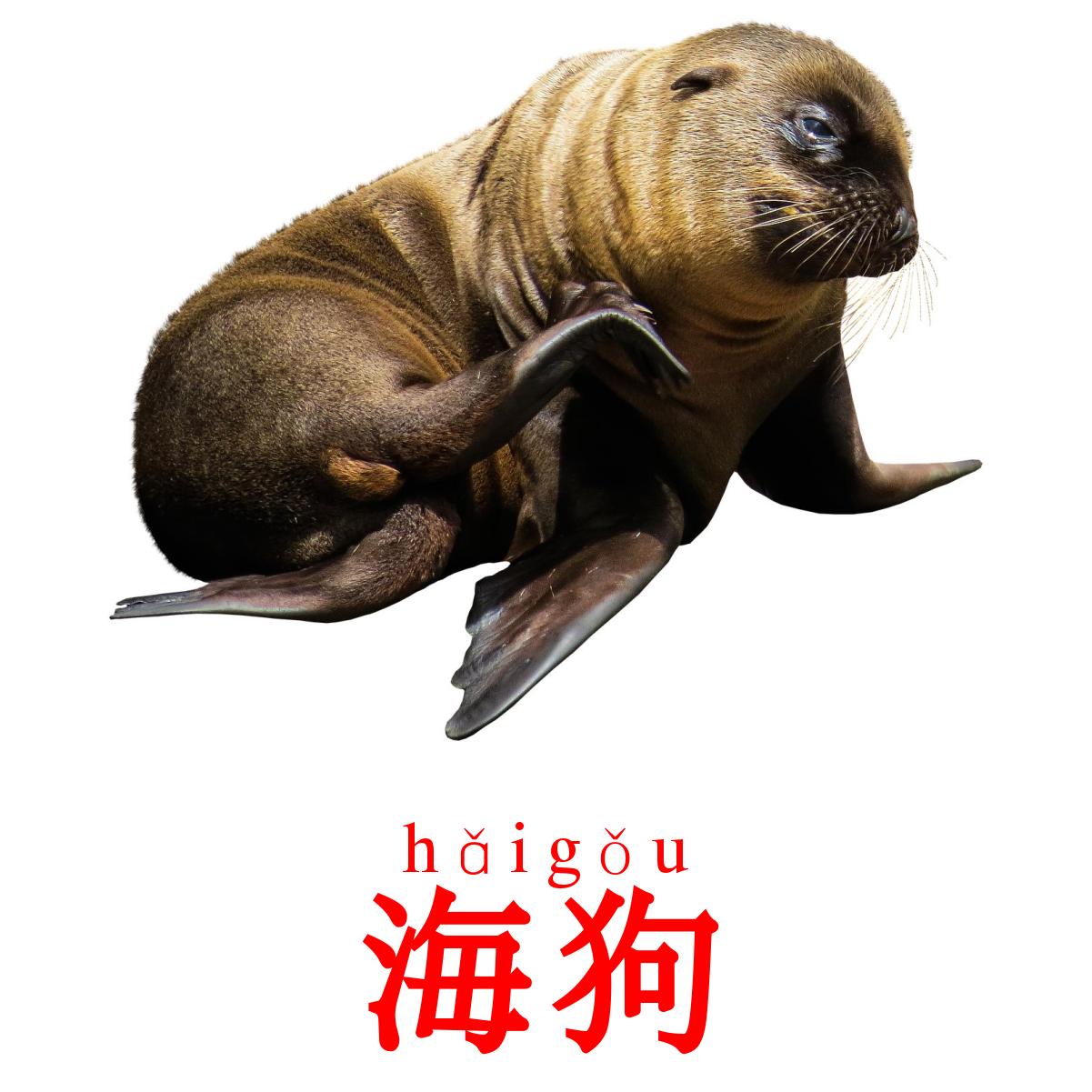 30 Printable Sea animals Flashcards in Chinese(Simplified) (Free PDF)