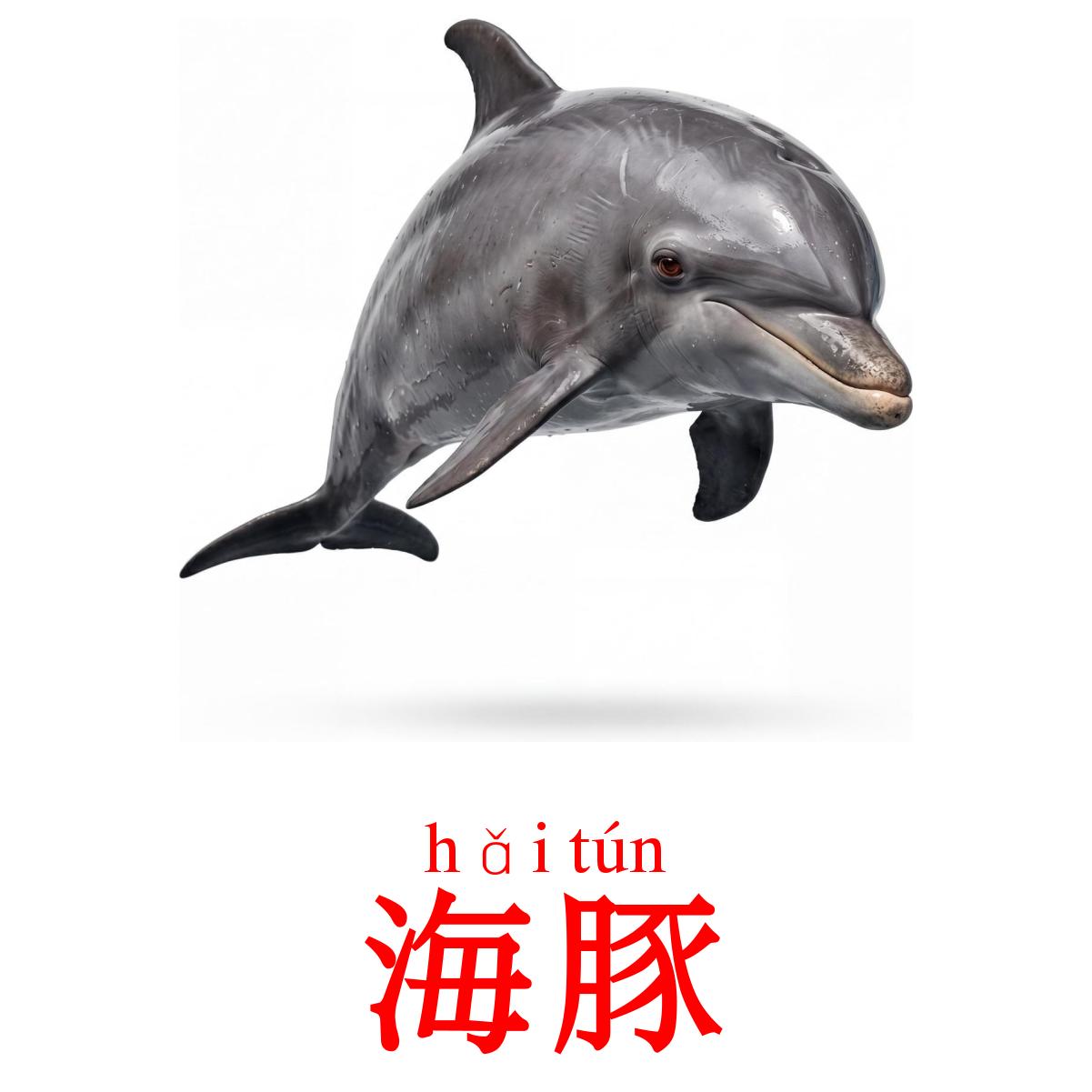 30 Printable Sea animals Flashcards in Chinese(Simplified) (Free PDF)
