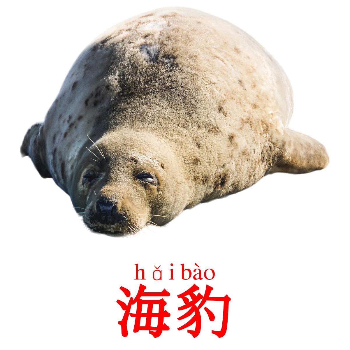 30 Printable Sea animals Flashcards in Chinese(Simplified) (Free PDF)