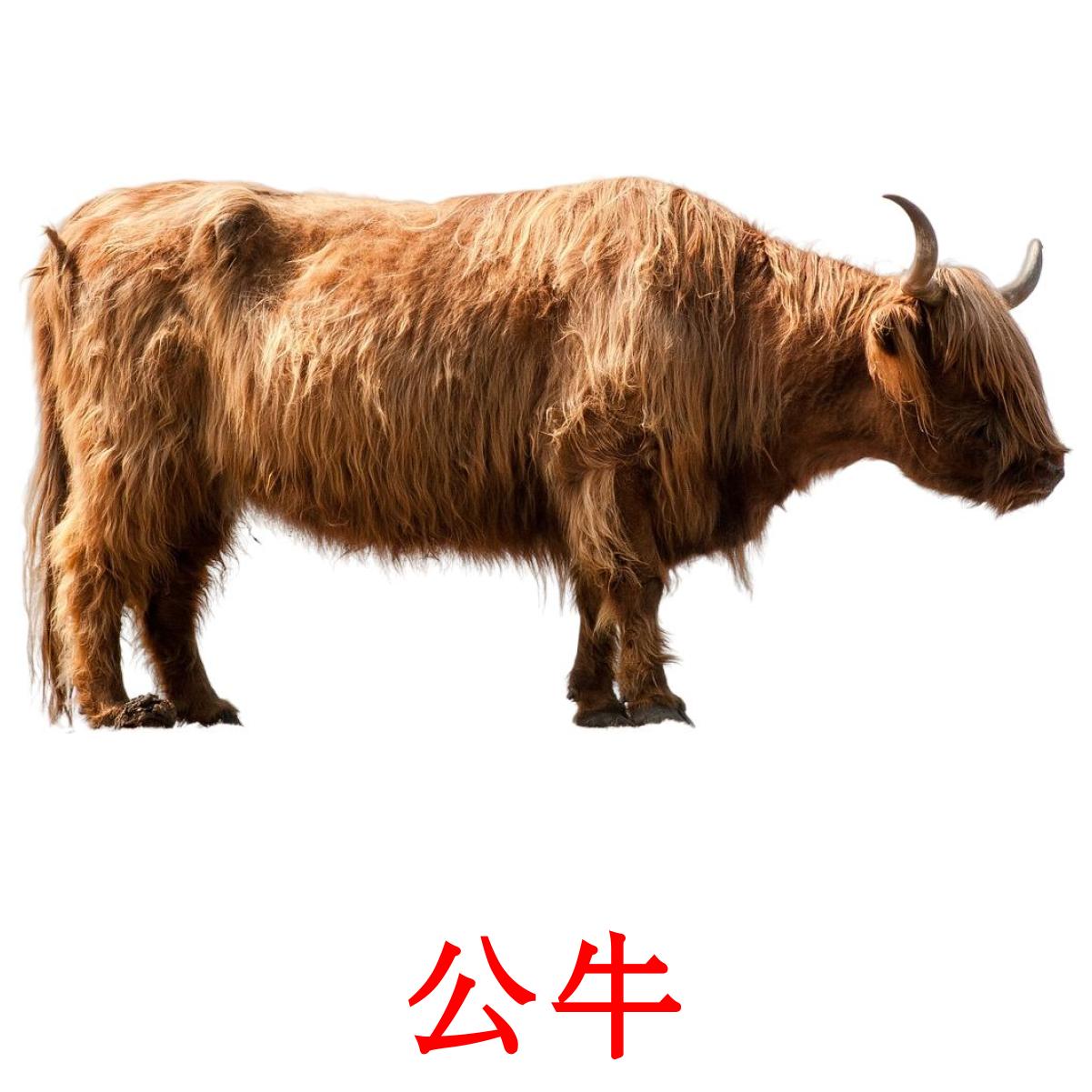 15 FREE Farm animals Flashcards | PDF | Chinese(Simplified) Words