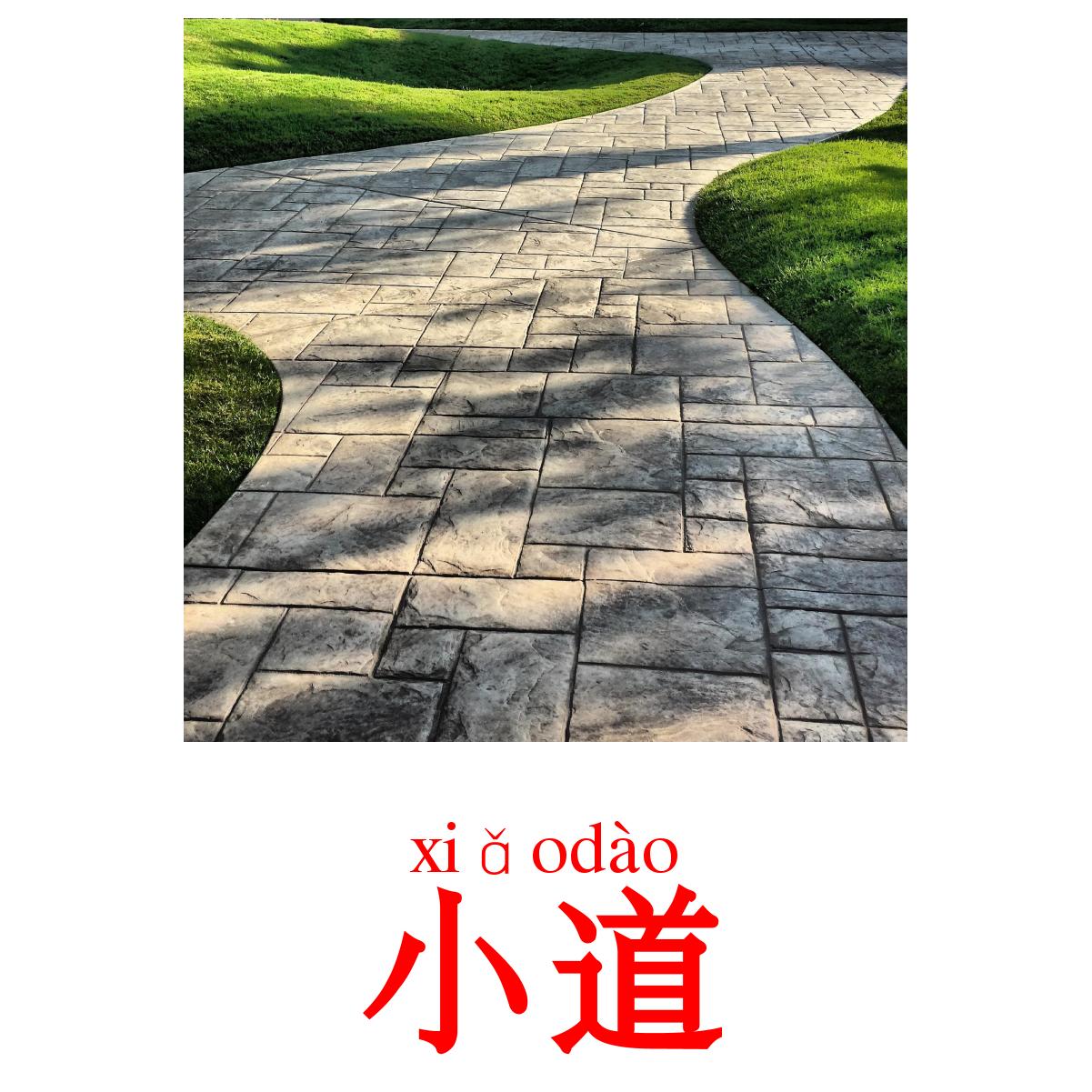 19 Printable Garden Flashcards in Chinese(Simplified) (Free PDF)