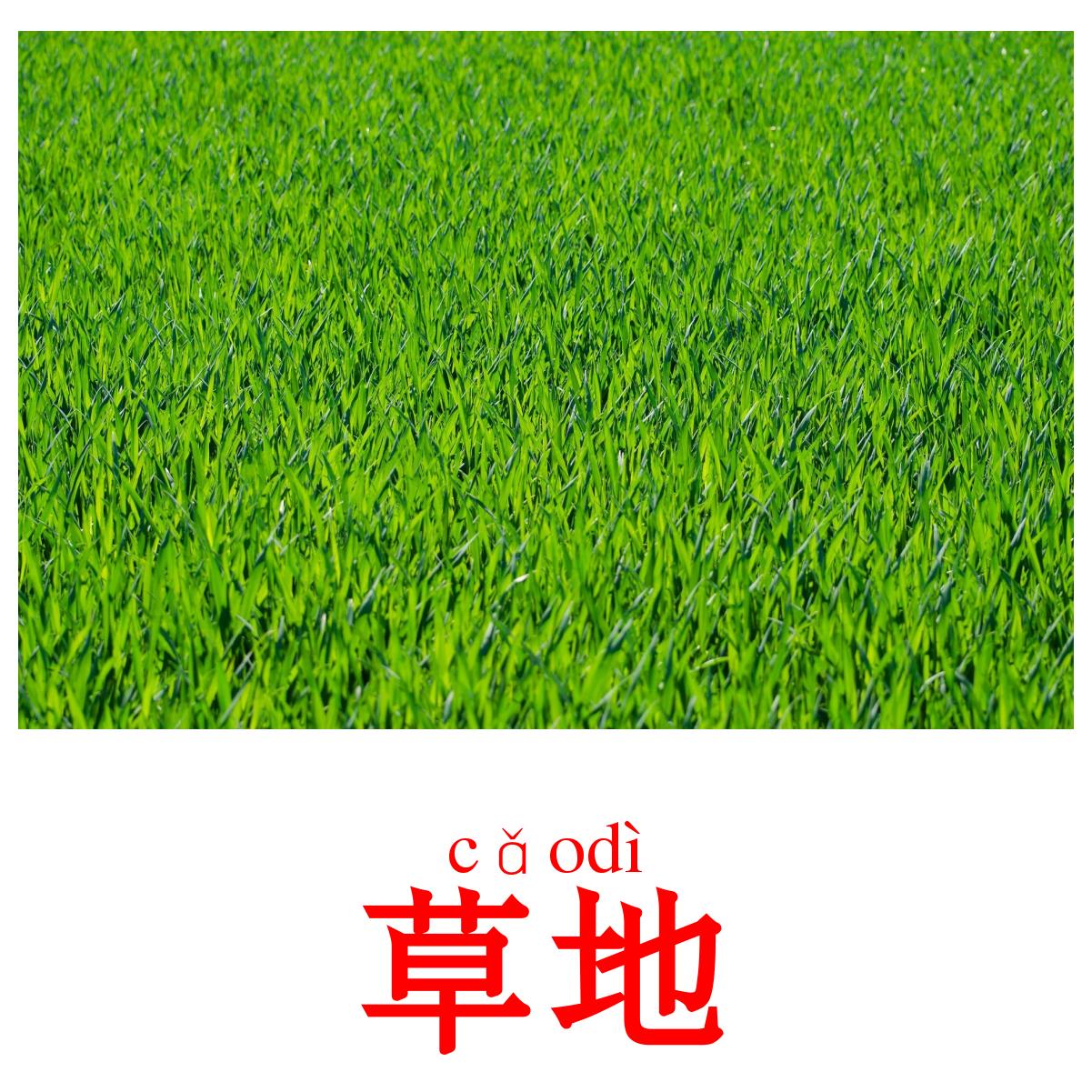 19 Printable Garden Flashcards in Chinese(Simplified) (Free PDF)