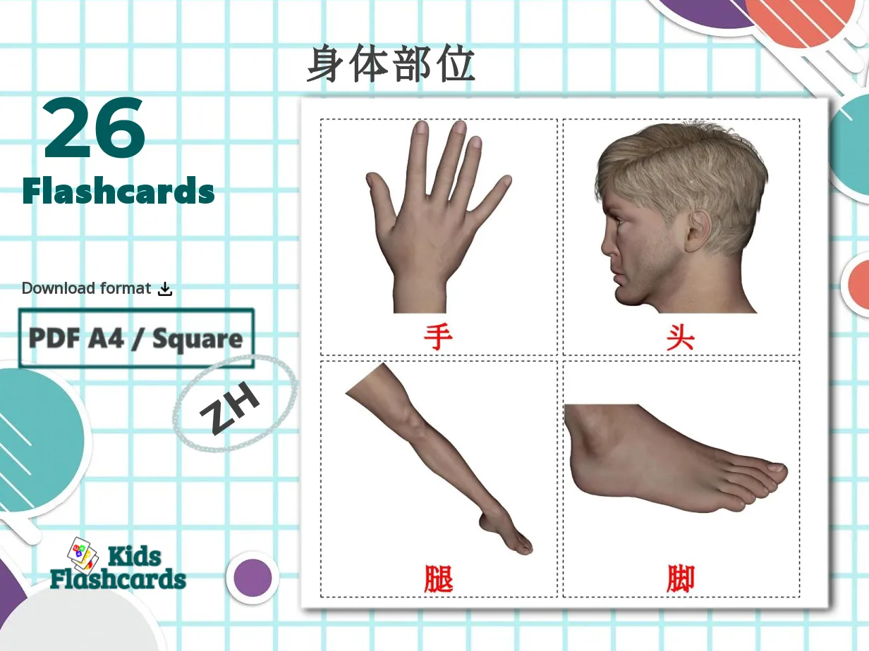 26 Printable Body Parts Flashcards in Chinese(Simplified) (Free PDF)