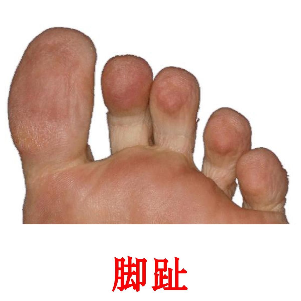 26 Printable Body Parts Flashcards in Chinese(Simplified) (Free PDF)