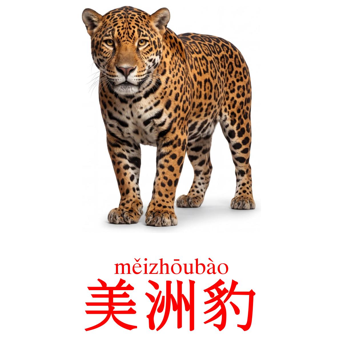 22 Printable Jungle animals Flashcards in Chinese(Simplified) (Free PDF)