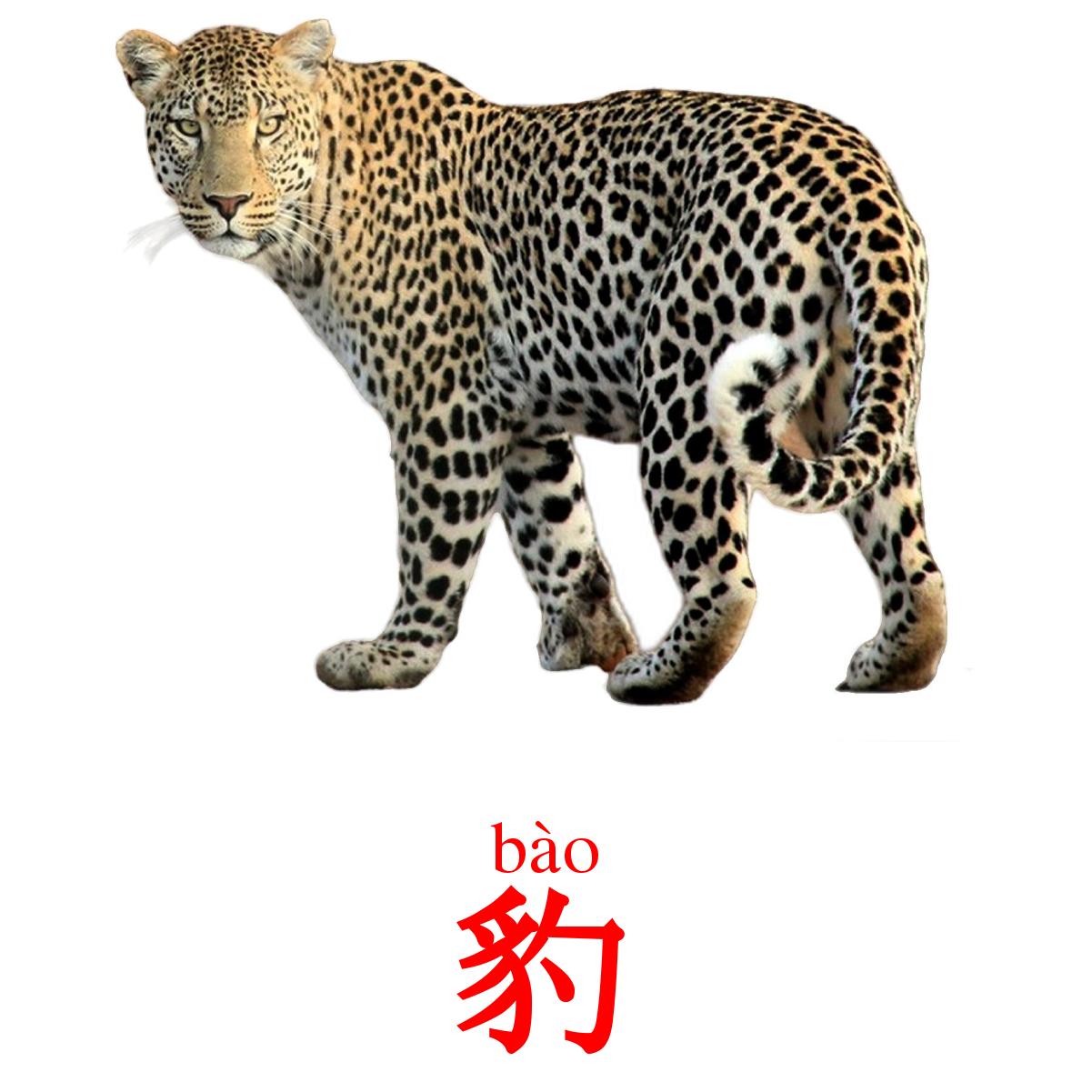 22 Printable Jungle animals Flashcards in Chinese(Simplified) (Free PDF)