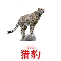21 FREE Jungle animals Flashcards | PDF | Chinese(Simplified) Words