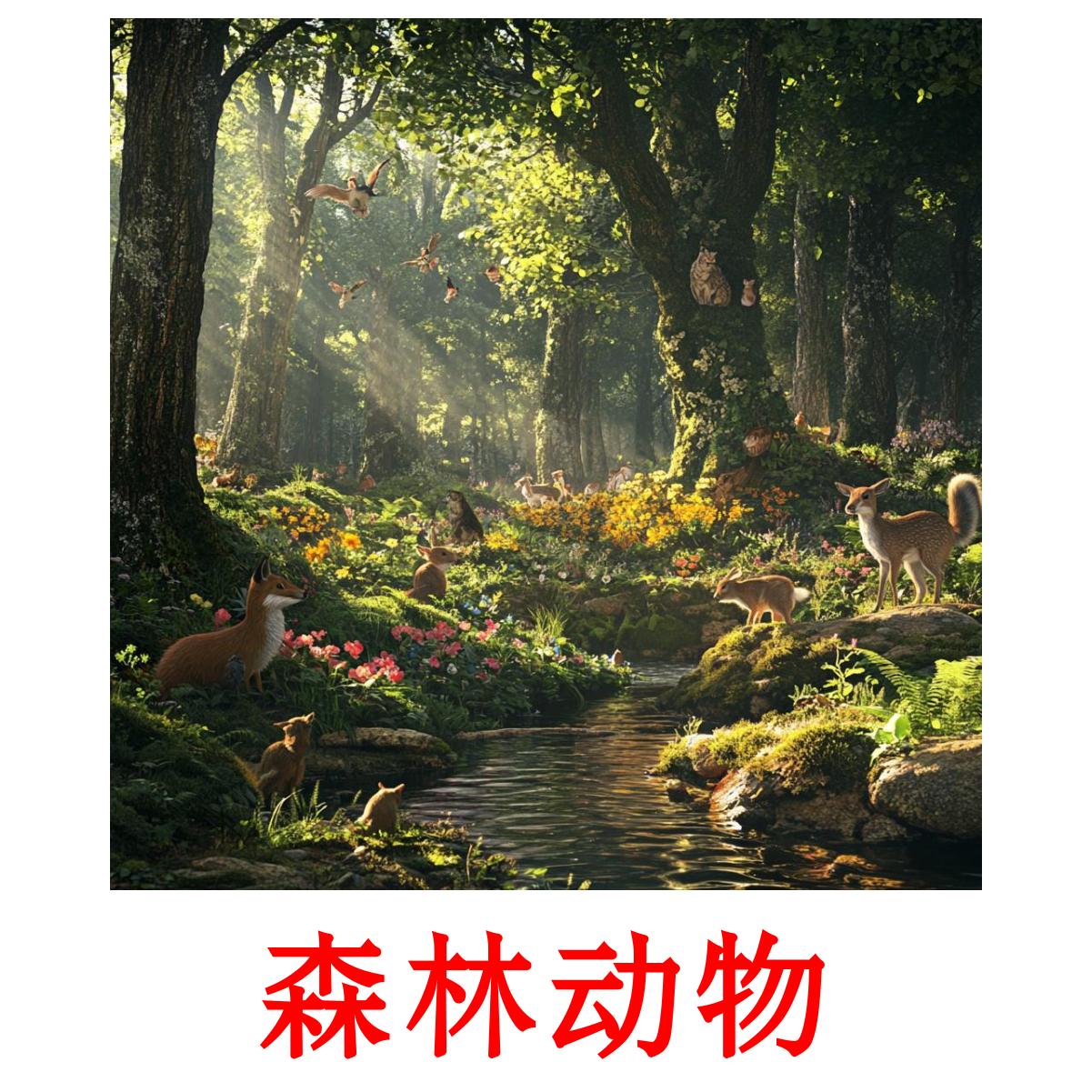 23 Printable Forest animals Flashcards in Chinese(Simplified) (Free PDF)