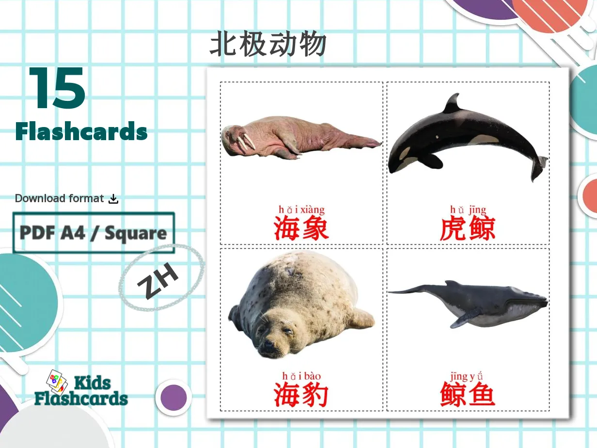 15 Printable Arctic animals Flashcards in Chinese(Simplified) (Free PDF)