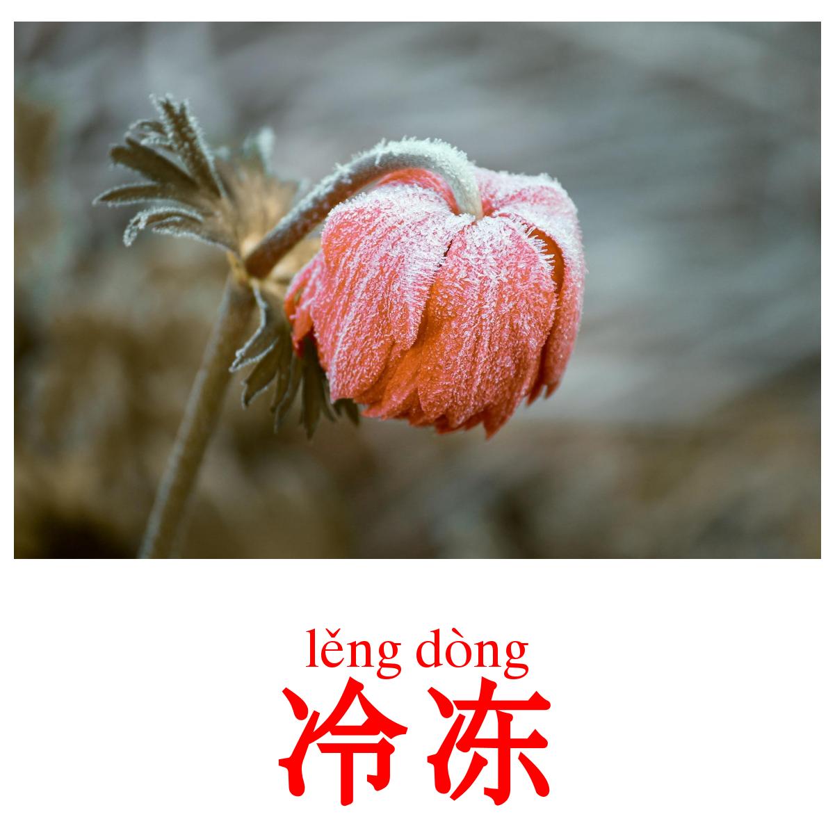 31 FREE Weather Flashcards | PDF | Chinese(Simplified) Words